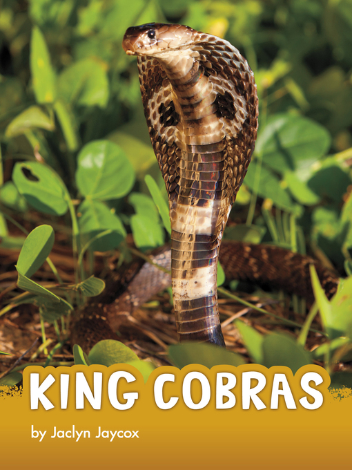 Libby - King Cobras